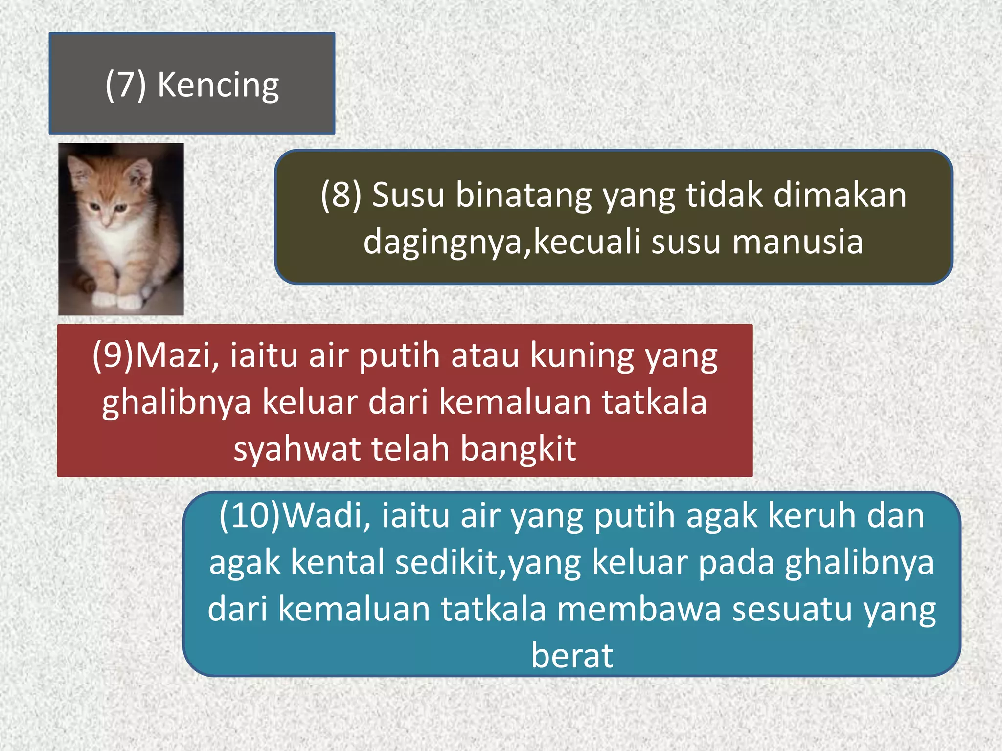 Najis Mutawassitah | PPTX