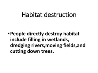 extinction of species loss of habitat and biodiversity types of ...