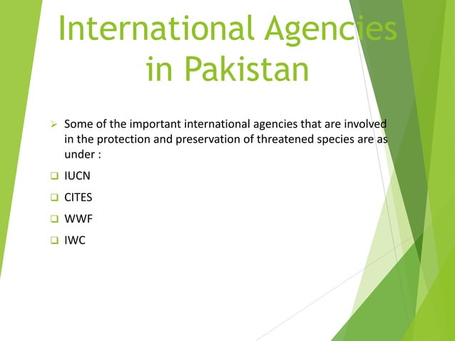 International agencies in Pakistan | PPT | Free Download