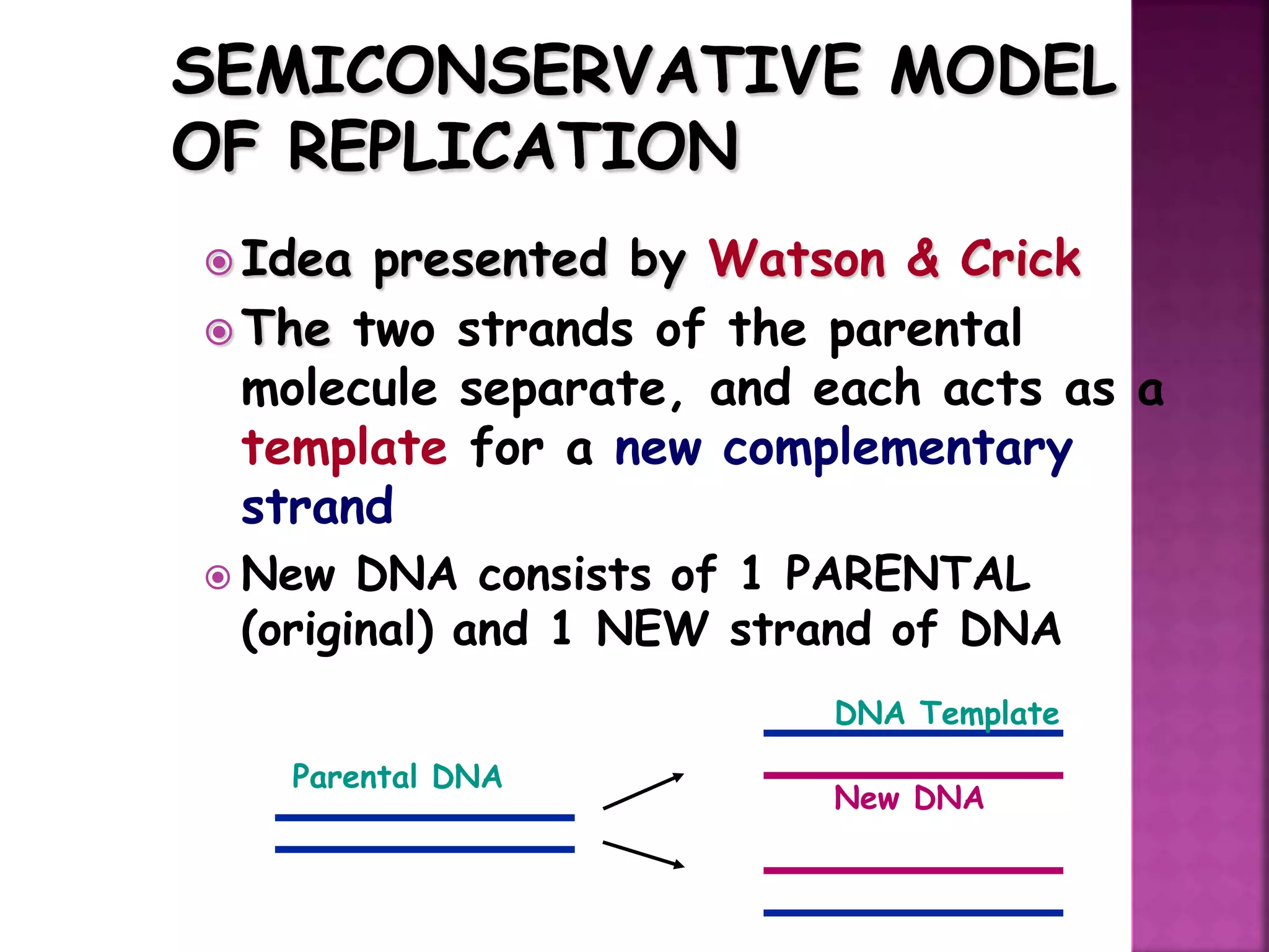 DNA replication | PPTX