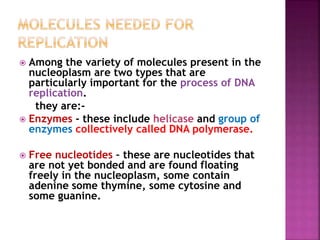 DNA replication | PPTX