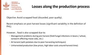 Measuring food losses: a new methodology | PPT