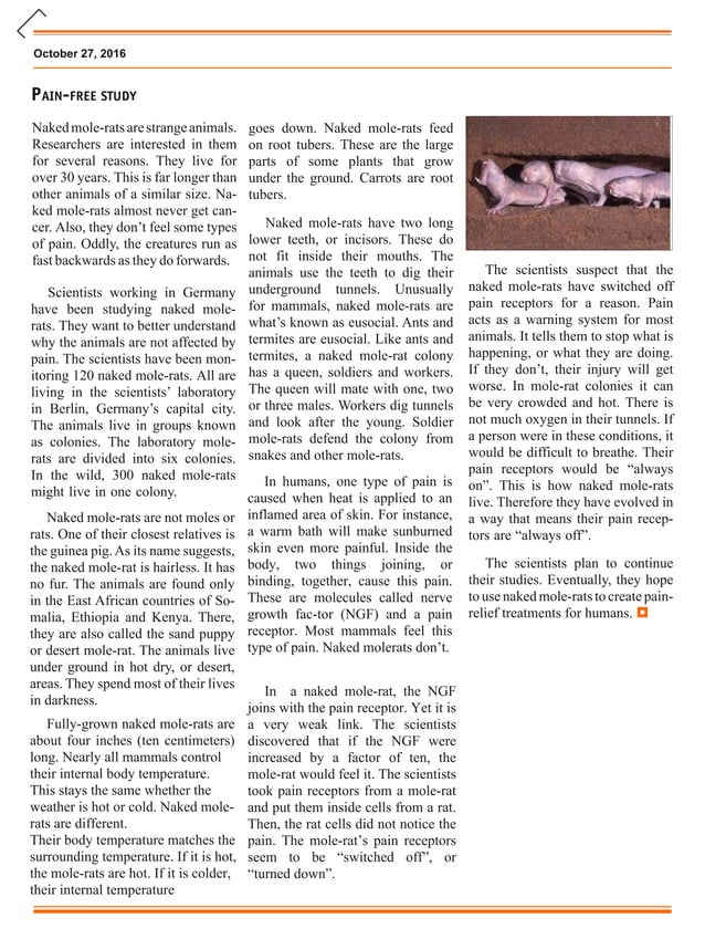 Naked mole rats | PDF