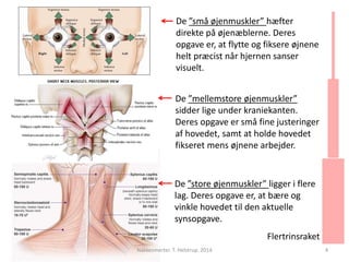Nakkesmerter og øjenfejl | PPTX