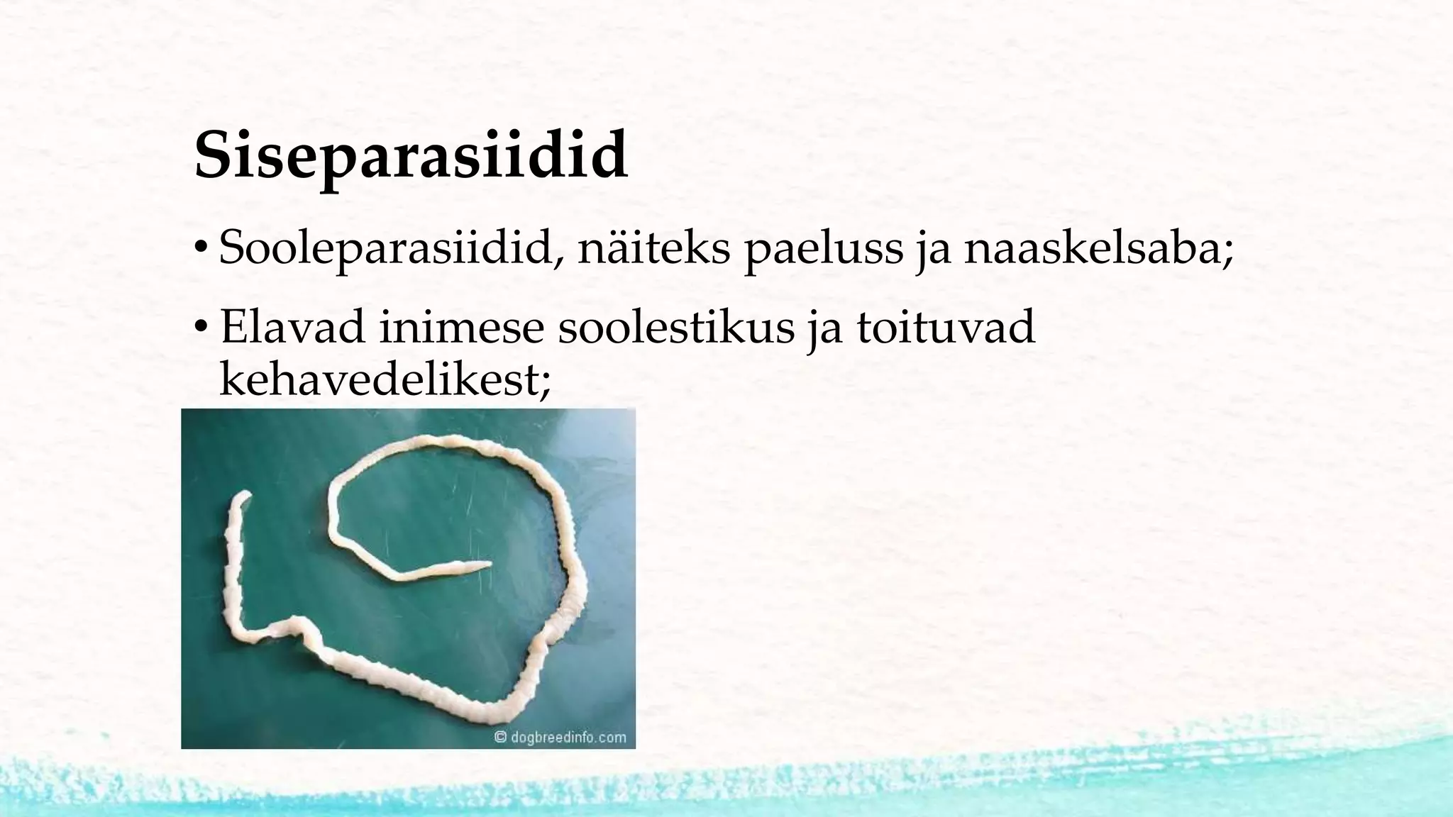 Nakkus- ja mittenakkushaigused | PPTX