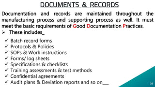 Document Maintenance in Pharmaceutical Industry | PDF