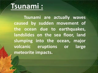 natural disaster | PPTX