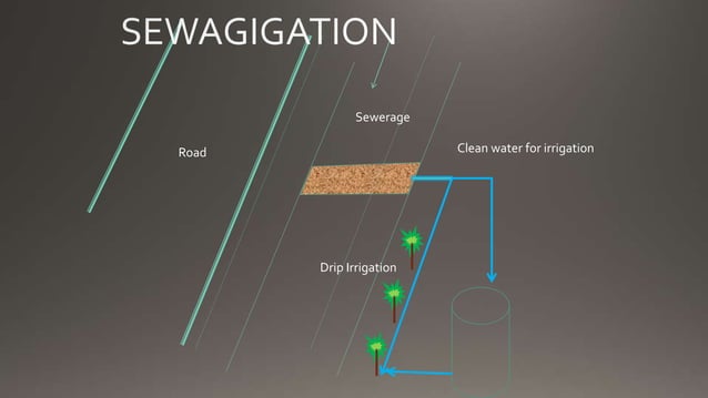 Nala (sewerage) plantation designs | PPT