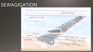 Nala (sewerage) plantation designs | PPTX