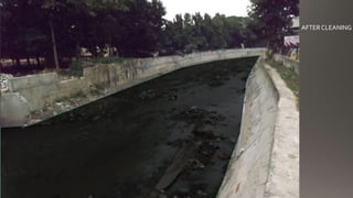 Nala (sewerage) plantation designs | PPTX