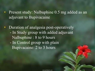 Nalbuphine given intrathecally as an adjuvant to LAAs | PPTX
