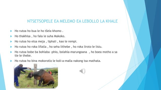 Na lebollo le sana le molemo.pptx