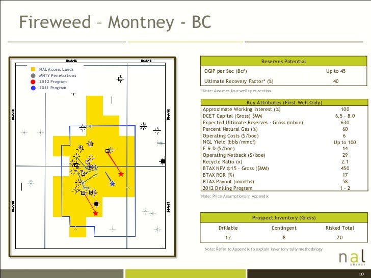 Nal operational map montages
