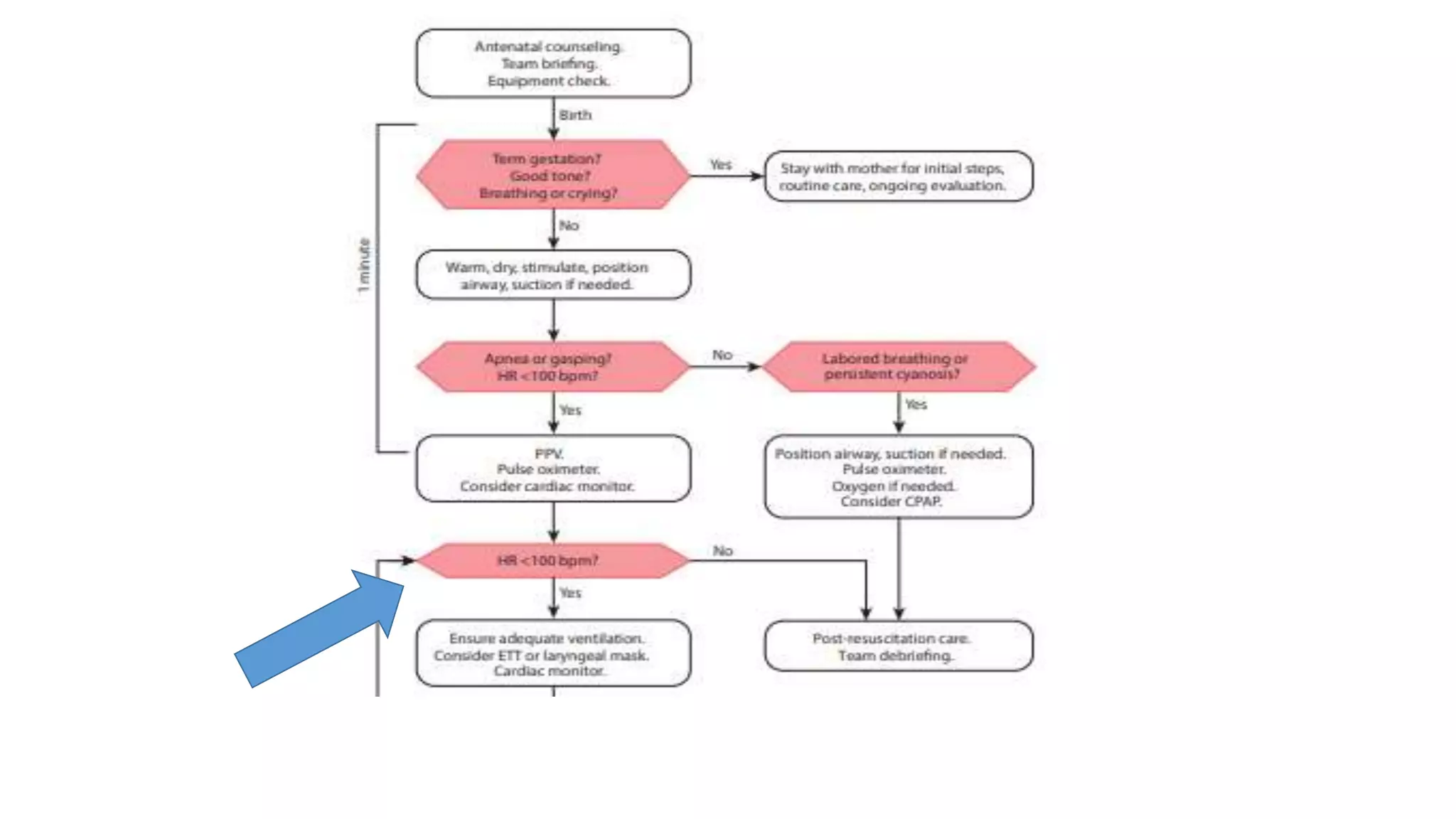 NALS- ALGORITHM-1 kiran final.pptx