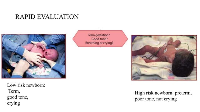 NALS- ALGORITHM-1 kiran final.pptx