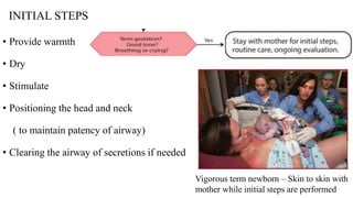NALS- ALGORITHM-1 kiran final.pptx