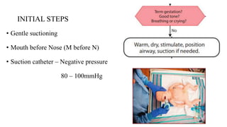NALS- ALGORITHM-1 kiran final.pptx