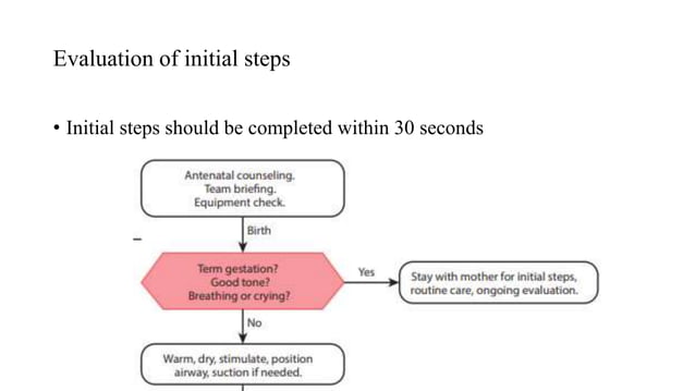 NALS- ALGORITHM-1 kiran final.pptx