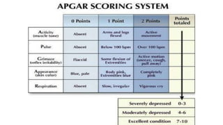 NALS- ALGORITHM-1 kiran final.pptx
