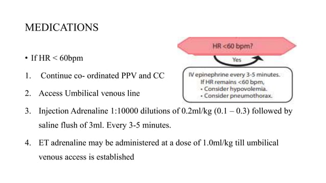 NALS- ALGORITHM-1 kiran final.pptx