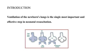 NALS- ALGORITHM-1 kiran final.pptx