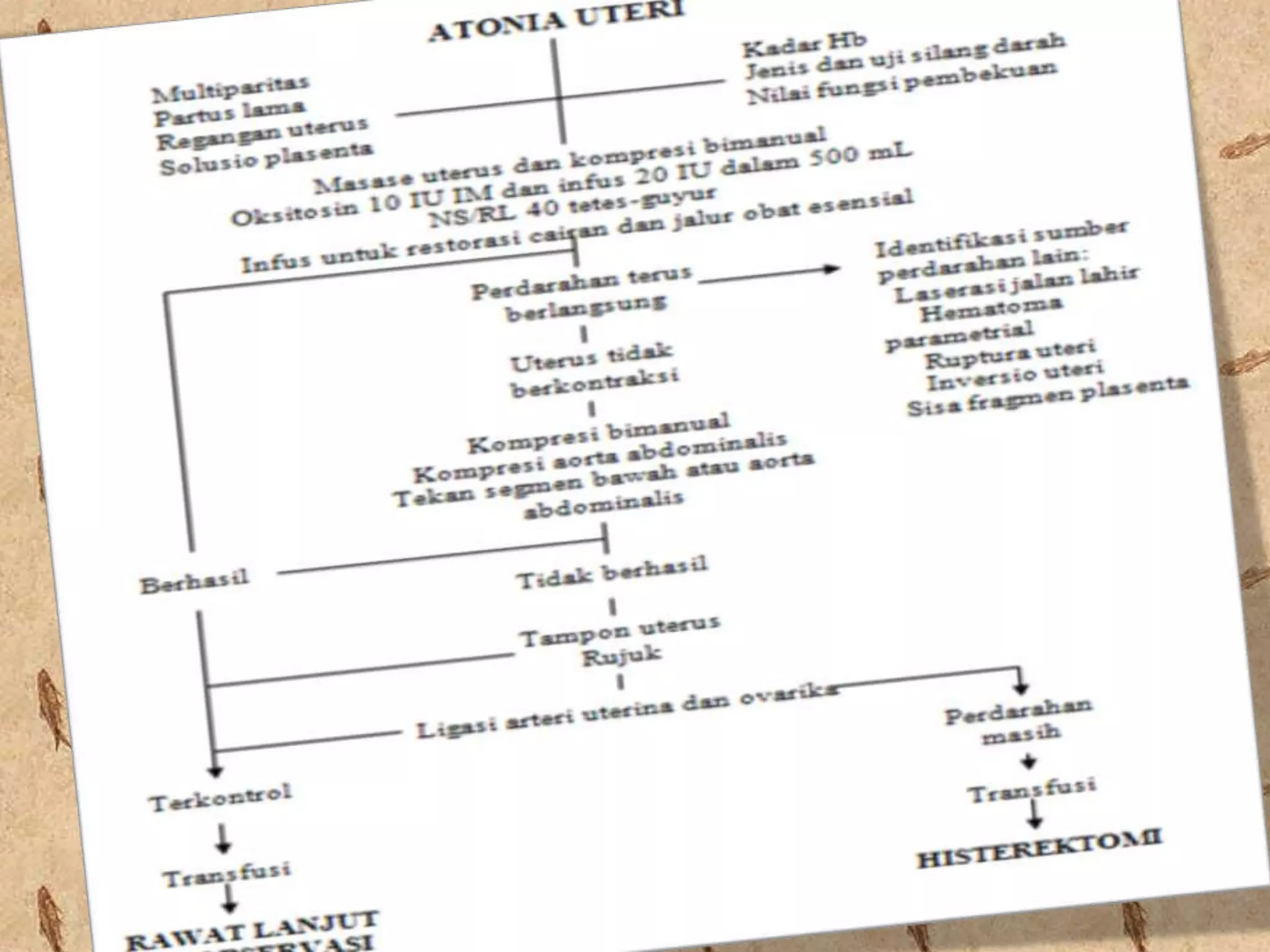 solusio plasenta | PPTX