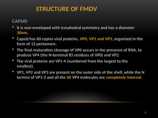 Foot and Mouth disease Virus Group 2.pptx