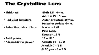 Optical System Of Eye | PPTX