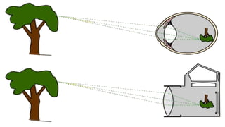 Optical System Of Eye | PPTX