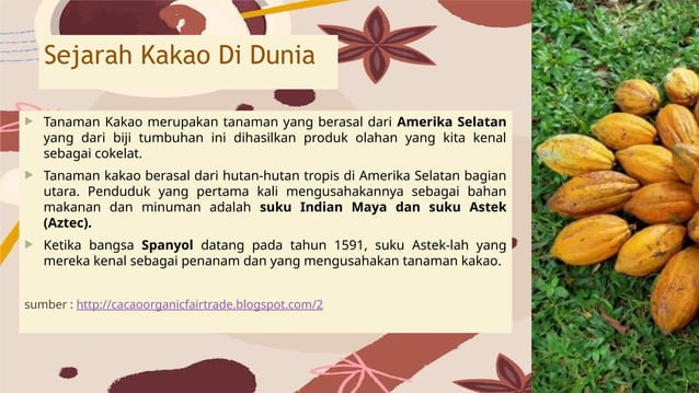 Pengolahan Biji Kakao Menjadi Coklat.pptx