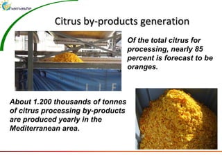 Namaste Project: Info Point Citrus | PPS