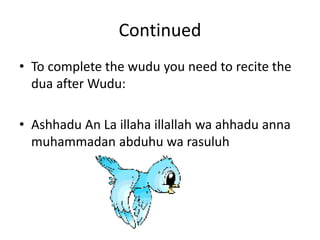 How to perform Wudu & More | PPTX