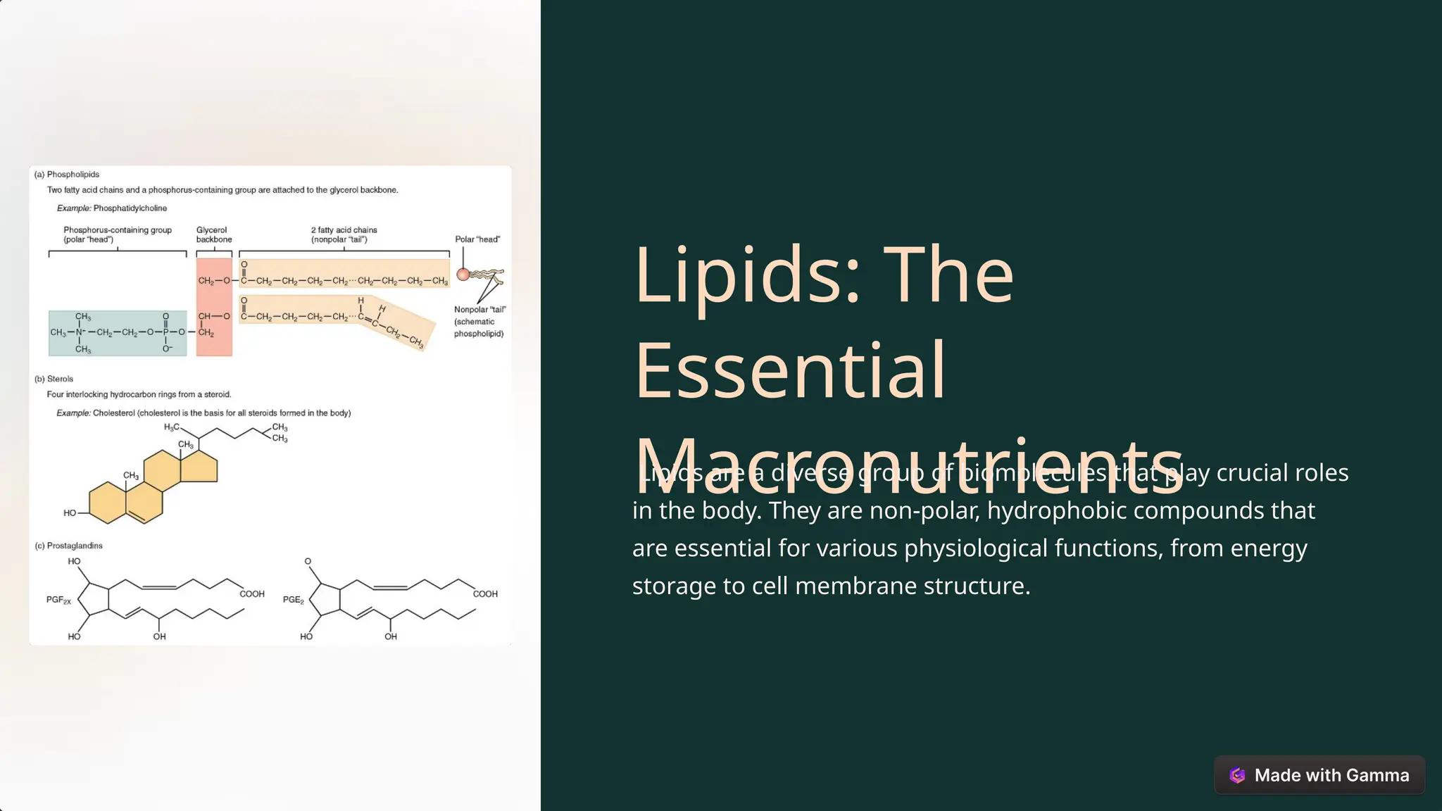 lipids: the essential micronutrients in biology | PPT lipids: the essential micronutrients in biology | PPT