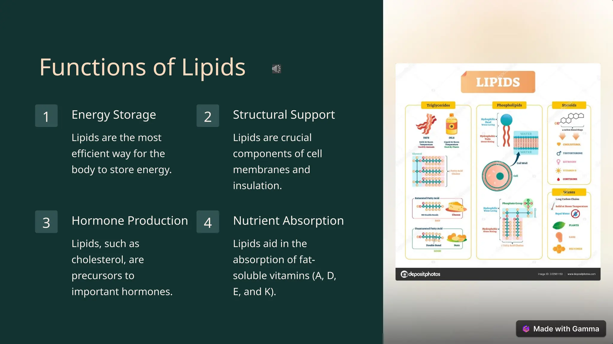 lipids: the essential micronutrients in biology | PPTX