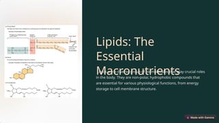 lipids: the essential micronutrients in biology | PPTX