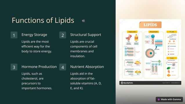 lipids: the essential micronutrients in biology | PPT