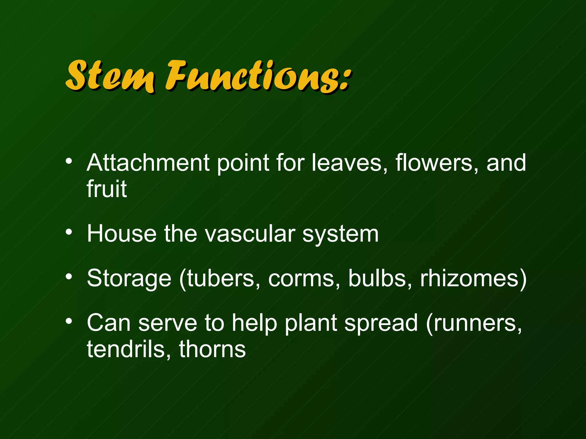 Name That Plant Part | PPT