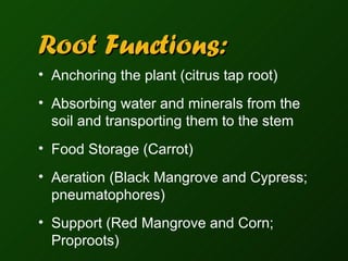 Name That Plant Part | PPT