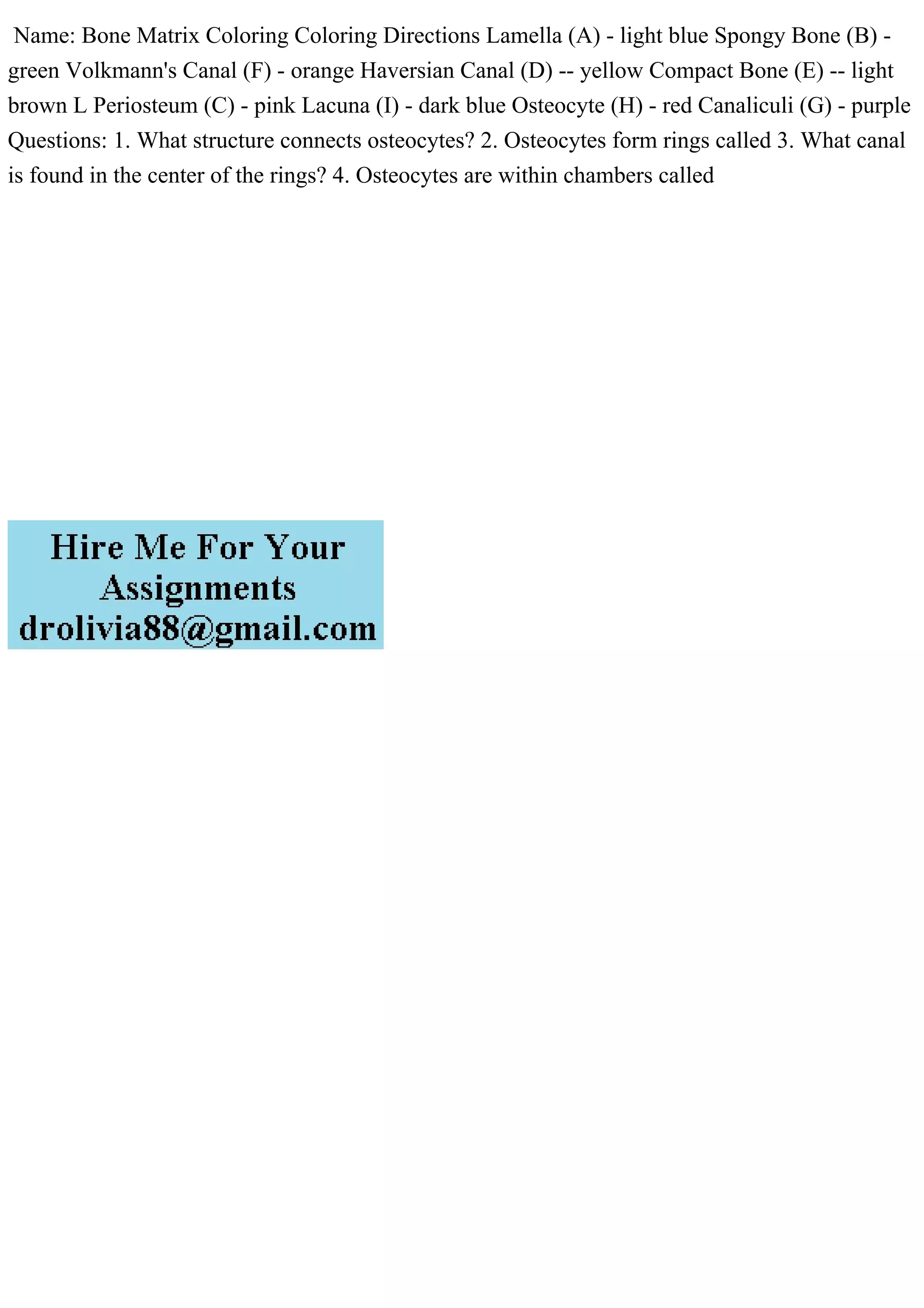 Name Bone Matrix Coloring Coloring Directions Lamella (A) - light bl.pdf