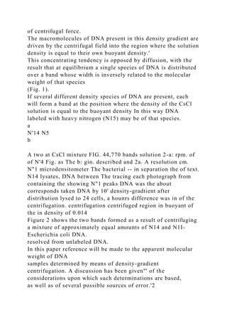 NameDateCritical Reading Form for Meselson & Stahl – 10 poin.docx