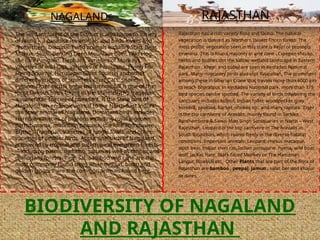 NAME=Mohit poswal.pptx on importance of anything | PPT