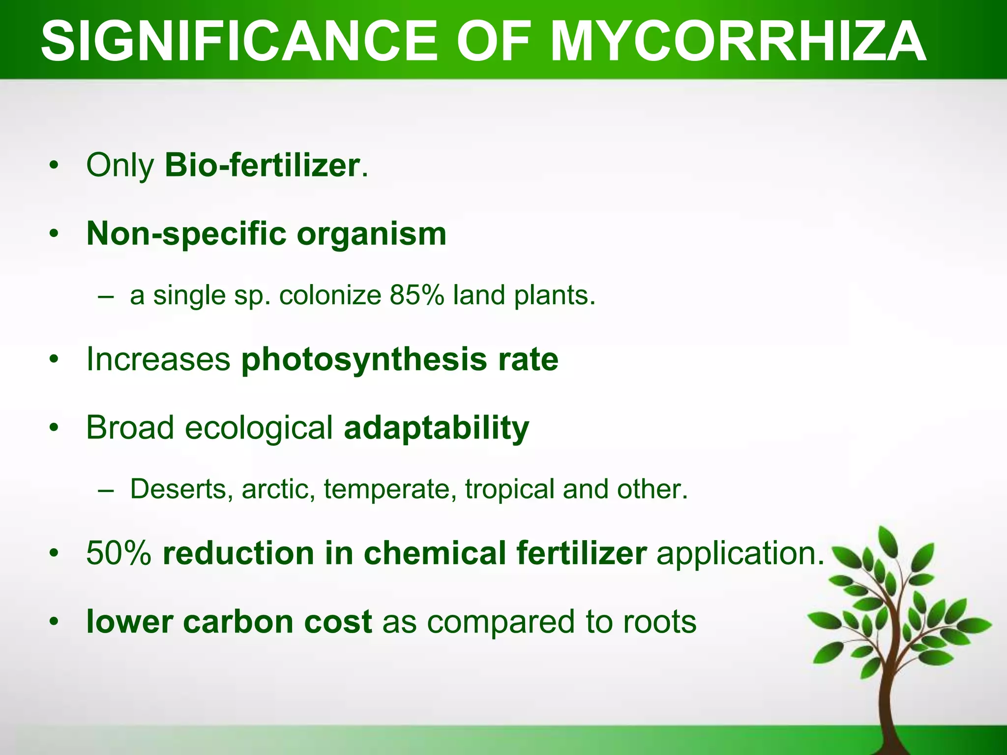introduction to mycorrhizae and its role in P uptake | PPTX