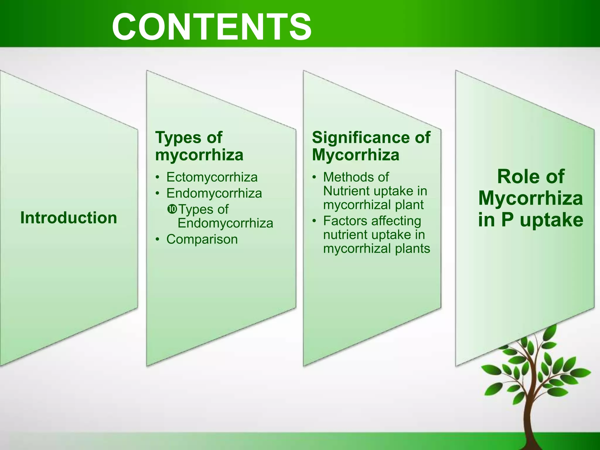 introduction to mycorrhizae and its role in P uptake | PPTX