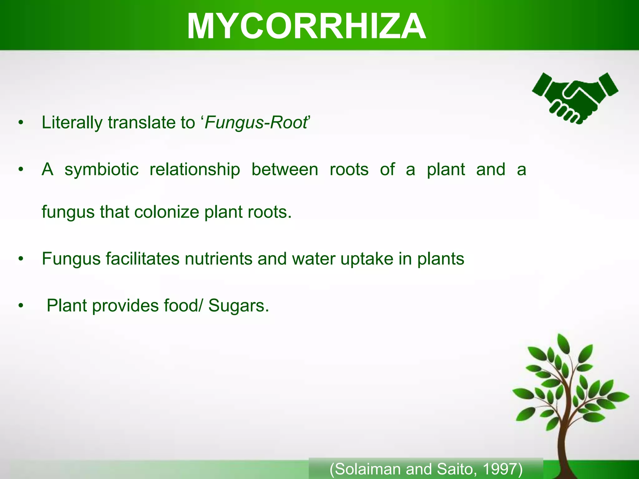 introduction to mycorrhizae and its role in P uptake | PPTX