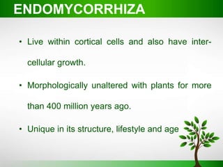 introduction to mycorrhizae and its role in P uptake | PPTX
