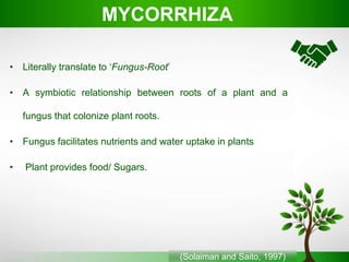 introduction to mycorrhizae and its role in P uptake | PPTX