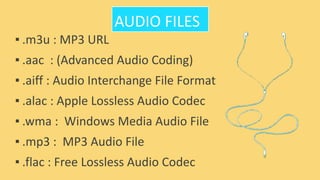 List of Files Format | PPTX | Digital Audio | Computer Software and ...