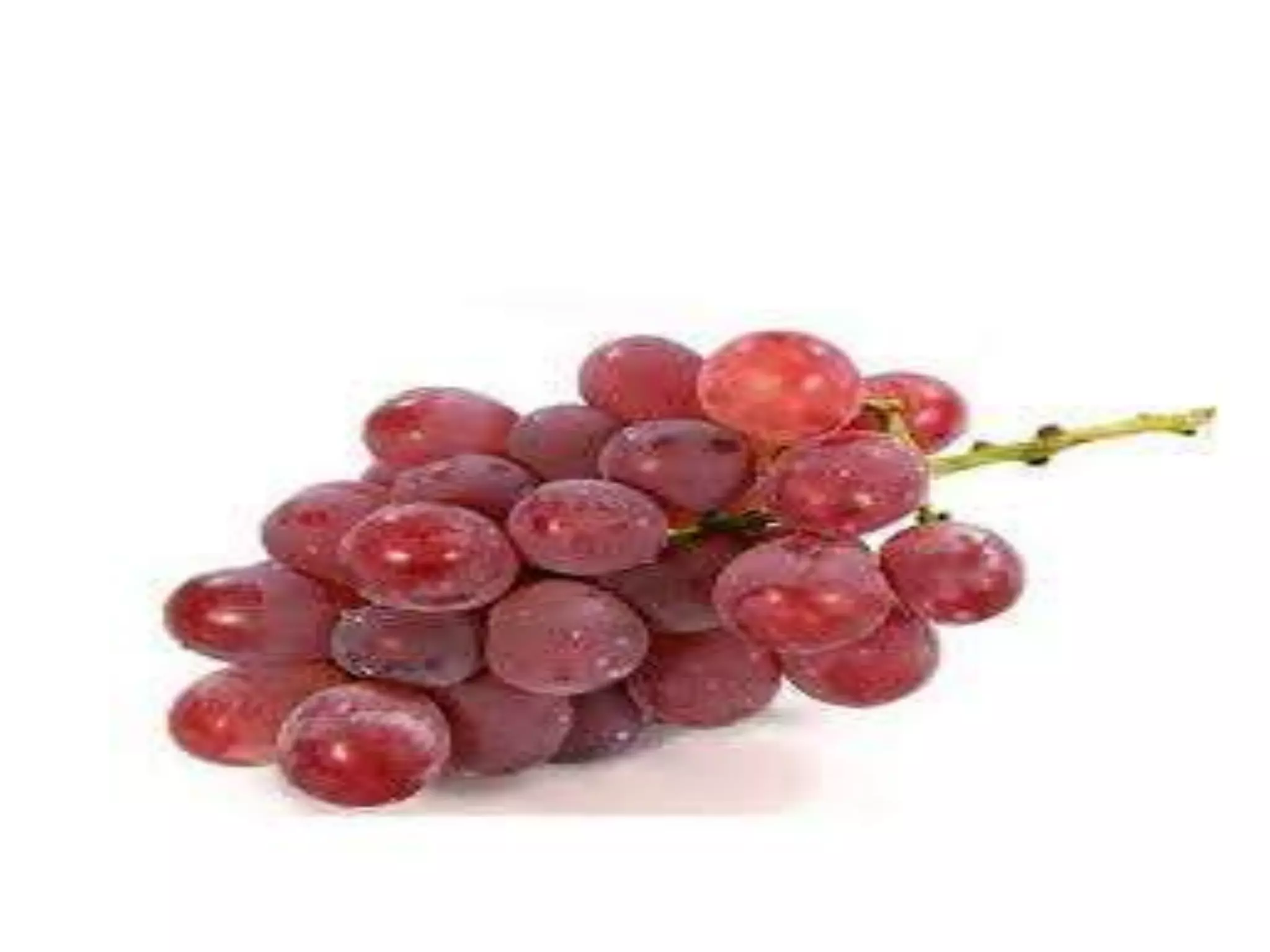 NAME OF FRUITS PPT.pptx