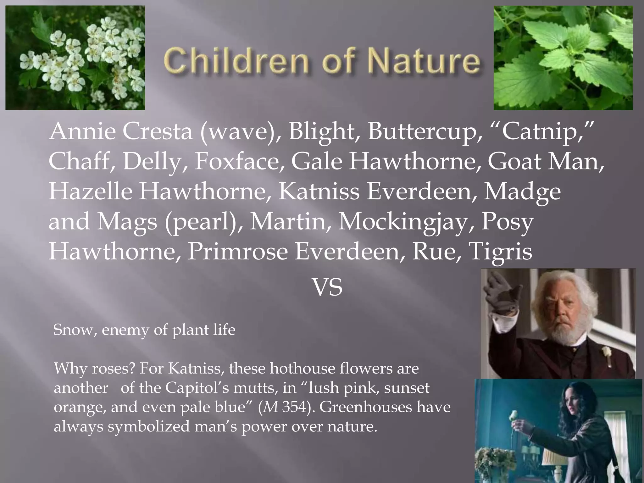 Names in the Hunger Games | PPT