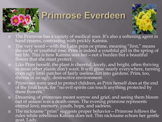 Names in the Hunger Games | PPT